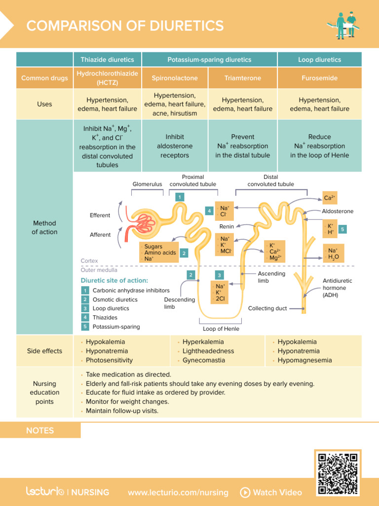 Nursing Comparison-Of-Diuretics | PDF | Kidney | Drugs