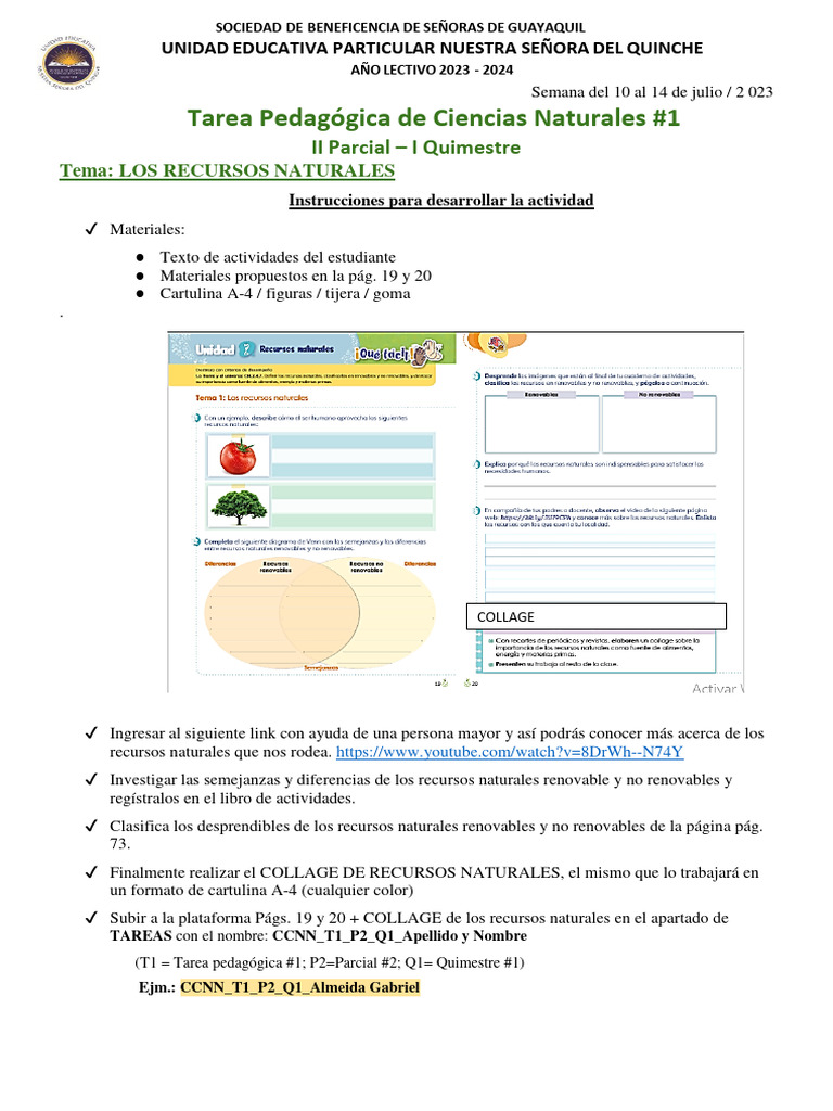 Tarea Pedagógica #1 CCNN 2P 1Q Collage-Texto | PDF | Comunicación humana