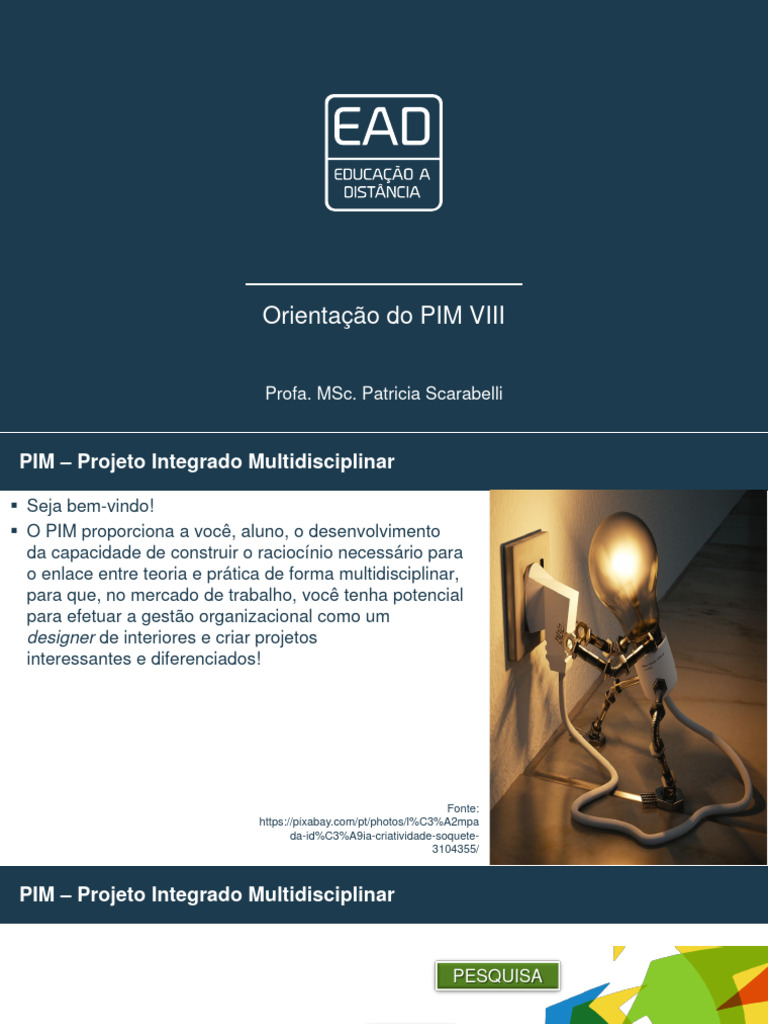 Slides de PIM VIII | PDF | Plano de negócios | Interdisciplinaridade