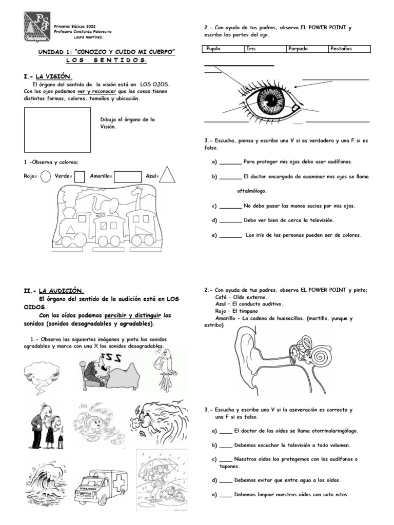 1 Los Sentidos | PDF | Sistema nervioso | Sentidos