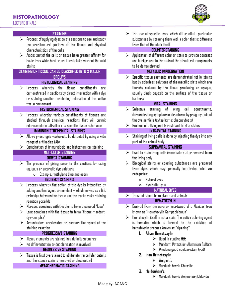 Transes Histopath | PDF | Staining | Antibody