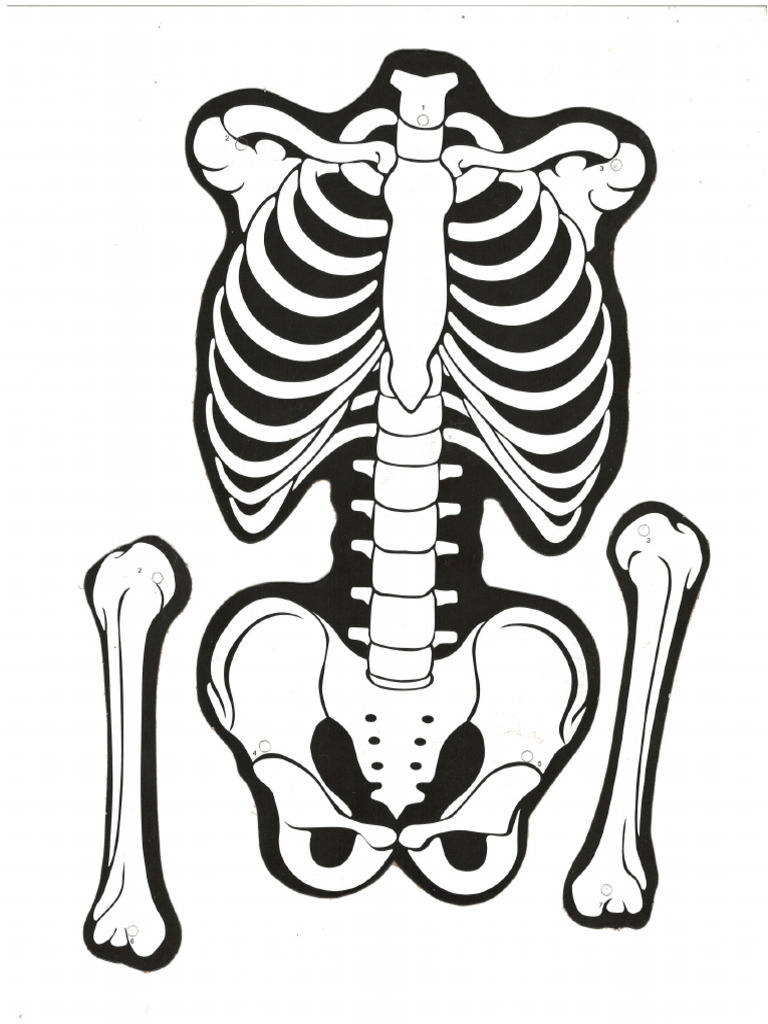Calaca para Vestir | PDF