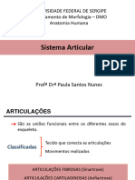 Apostila Precórdio | PDF | Ventrículo (coração) | Átrio (coração)