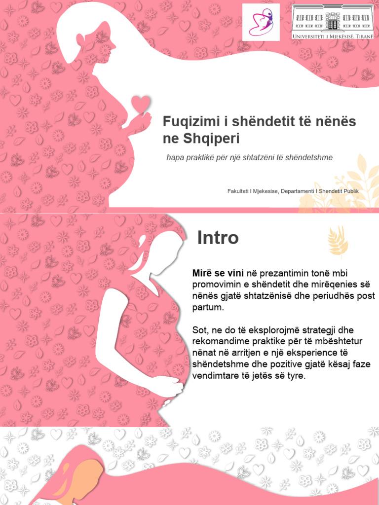 Maternal Health | PDF