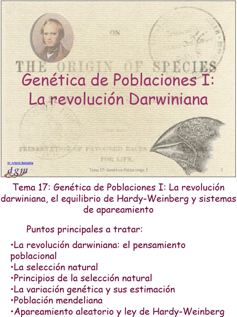 Genética De Poblaciones Pdf Alelo Gene 2262