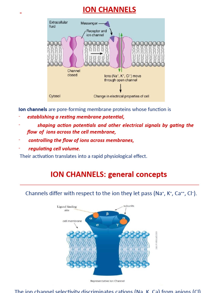 Receptors Ion Channels | PDF | Ion Channel | Nmda Receptor