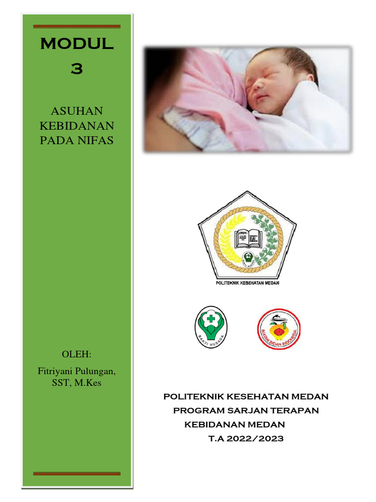 Modul Kel 3 Asuhan Kebidanan Pada Nifas | PDF | Karier & Perkembangan