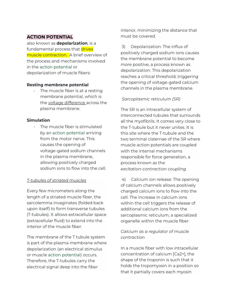 Exercise Physiology | PDF | Muscle Contraction | Skeletal Muscle