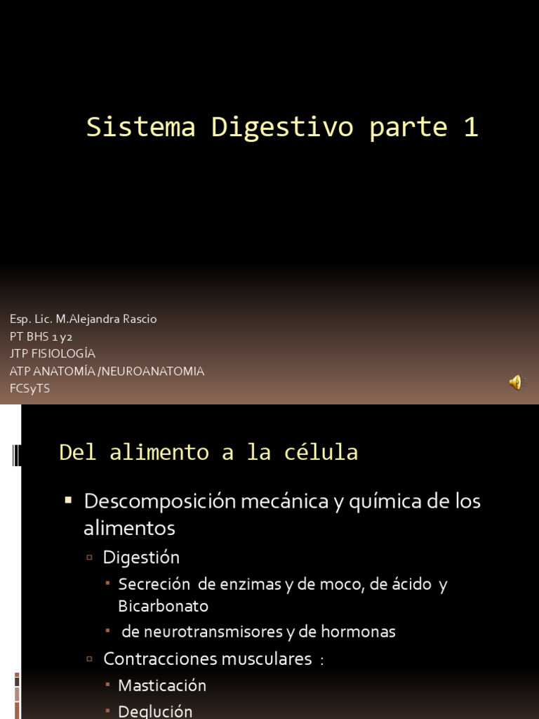 Sistema Digestio 1 - 1 | PDF | Sistema digestivo humano | Tracto ...
