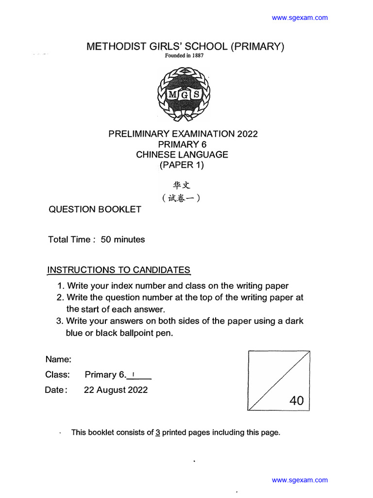 2022 P6 Chinese Prelim MGS | PDF