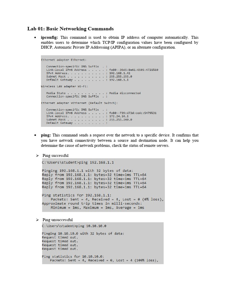 Lab 01: Basic Networking Commands: Ipconfig | Download Free PDF | Internet Protocols | Routing