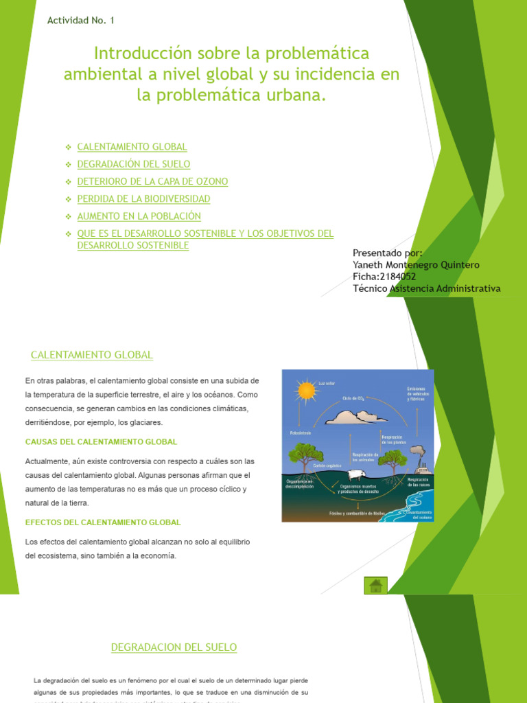Actividad 1 Introducción sobre la problemática ambiental a nivel global | PDF | Sustentabilidad ...