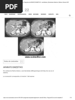 Arco de Riolano | PDF | Tinción | Anatomía