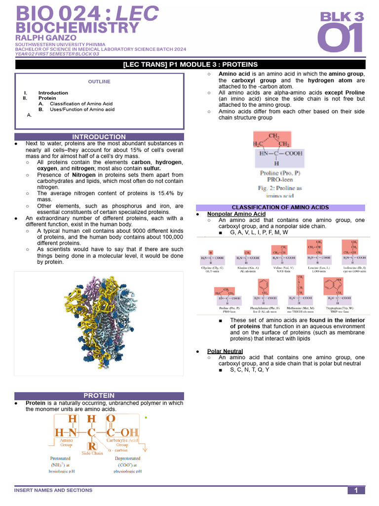 03 Lec - Bio024 - Proteins | PDF | Amino Acid | Protein Folding