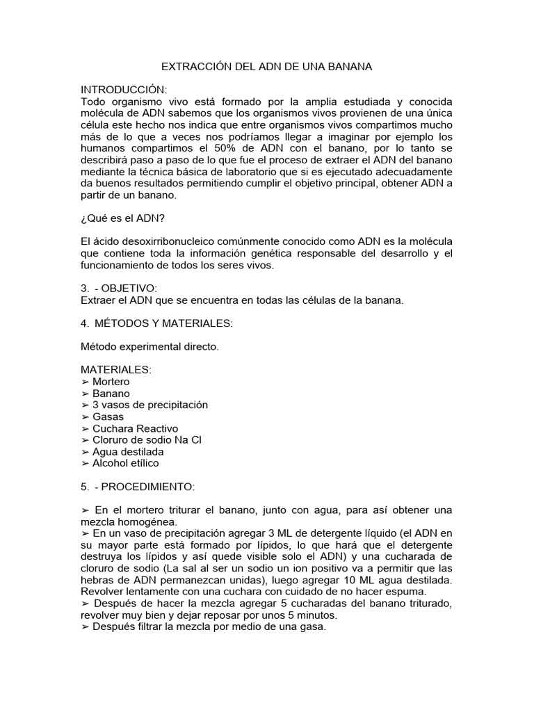Extracción Del Adn de Una Banana. | PDF | Adn | Agua