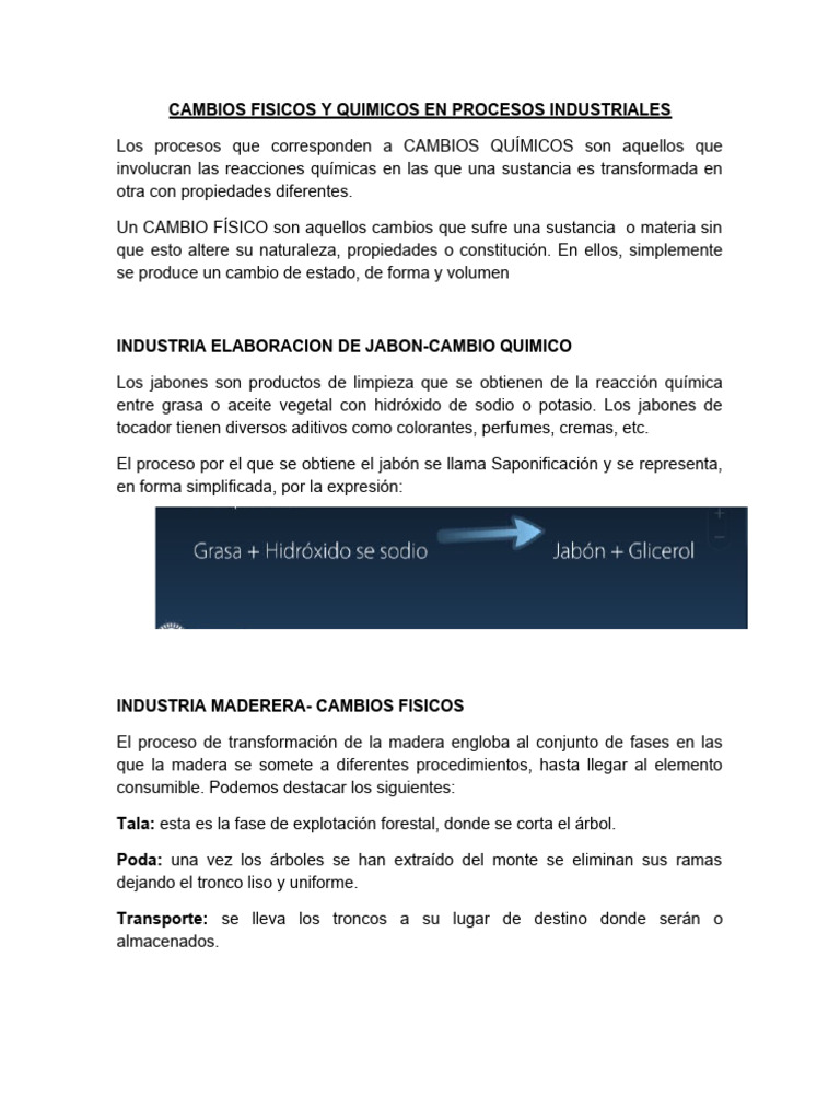 Cambios Fisicos y Quimicos en Procesos Industriales | PDF | Tecnología