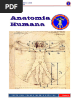 Anatomía en la Antigua India: Orígenes | PDF | Anatomía | Riñón