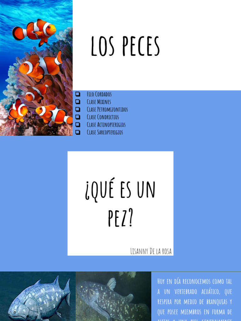 los peces | PDF | Pescado | Vertebrados