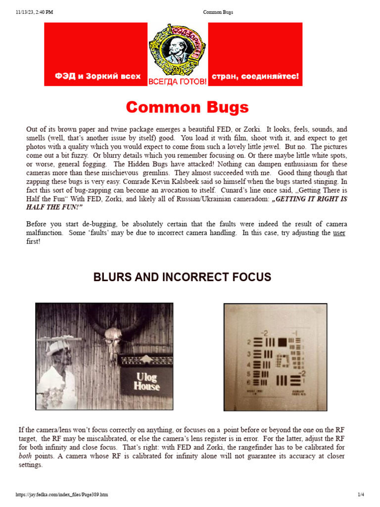 Common Bugs | PDF | Camera Lens | Camera