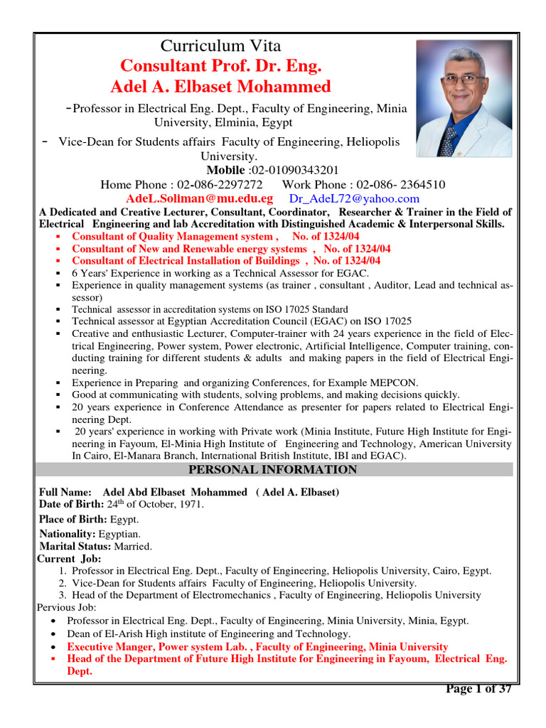Adel - CV - English 01-08-2023 | PDF | Photovoltaics | Engineering