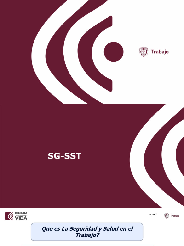 Importancia de SST 2 | PDF | Derecho laboral | Seguridad y salud ocupacional