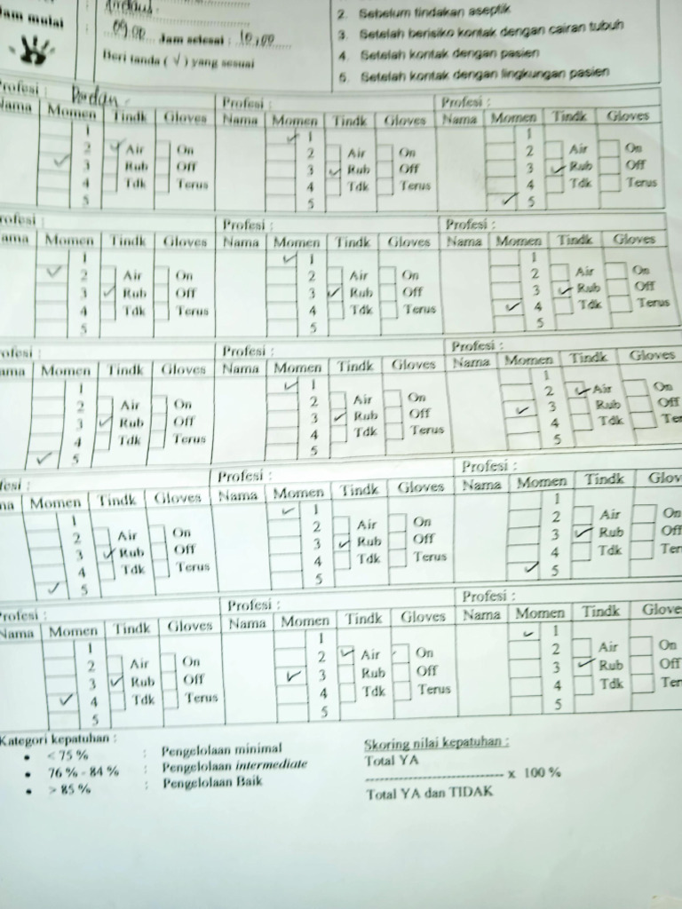 Audit Hand Hygiene | PDF