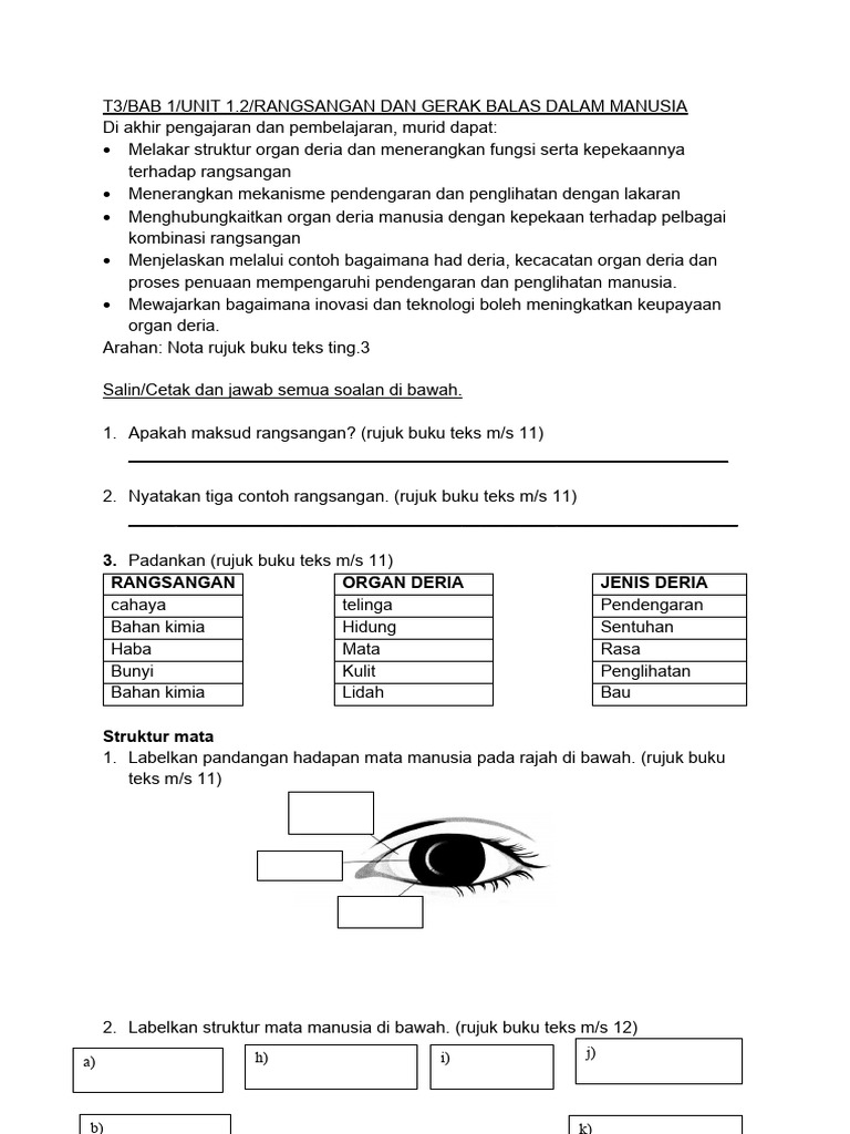 Latihan Ulangkaji T3 Bab 1.2 | PDF