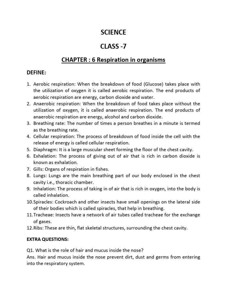 Class 7 Lesson 6 | PDF | Respiratory System | Breathing