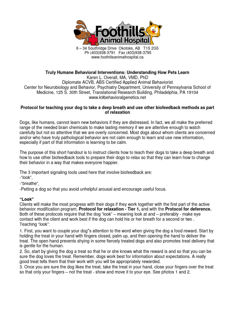 Deep Breath Relaxation - Overall | PDF | Breathing | Dogs