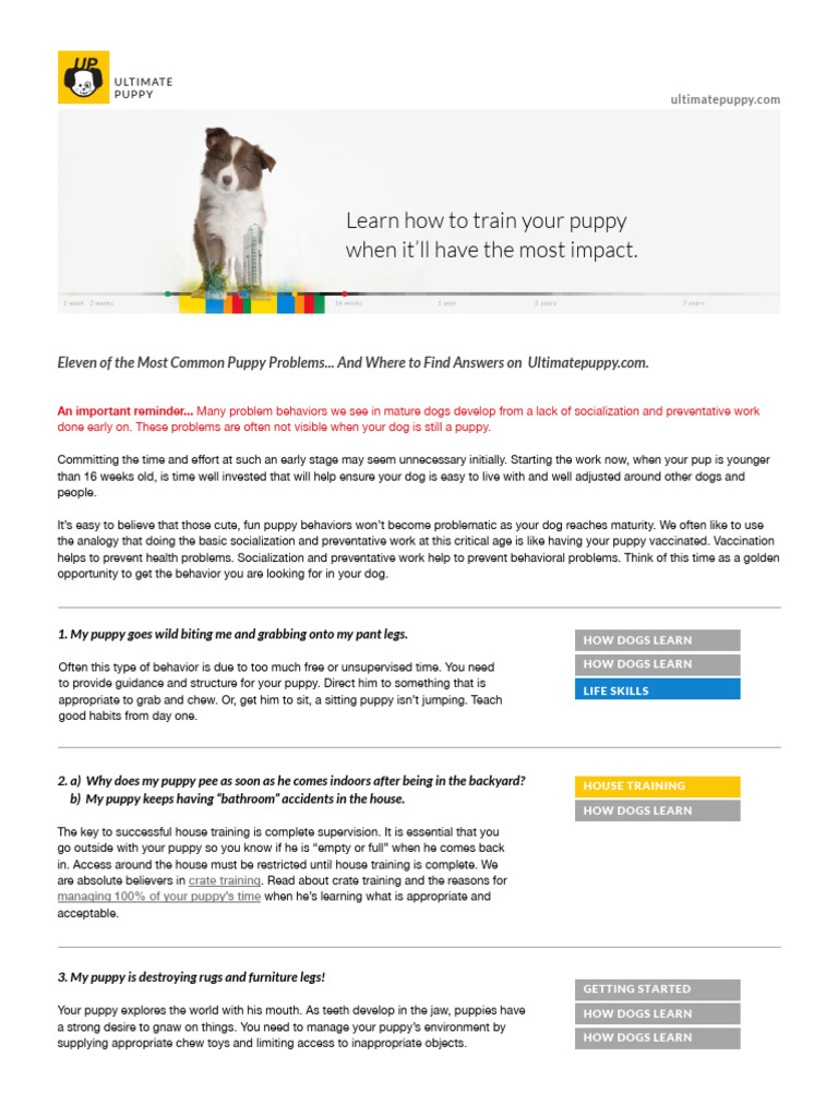 Up Faq New | Download Free PDF | Dogs