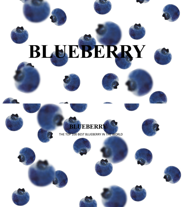 Blueberry | PDF