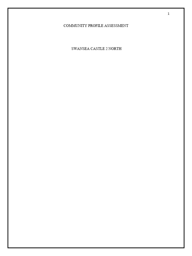 Community Profile Assessment-Swansea Castle 2 Northy Revised | PDF ...