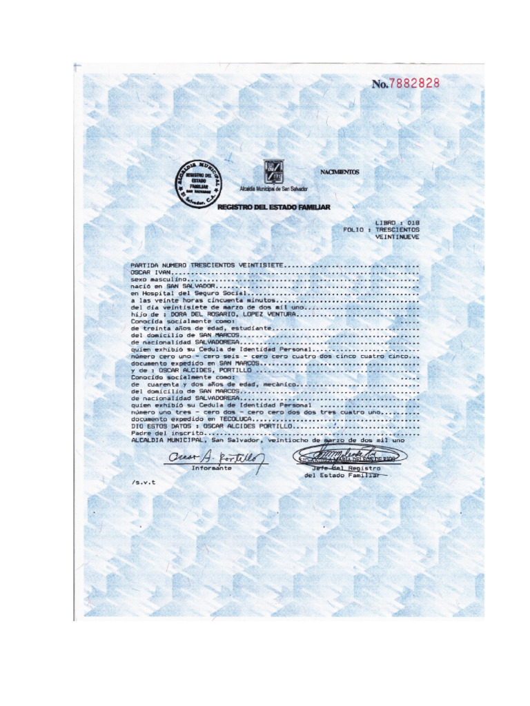 Documentos Word | PDF