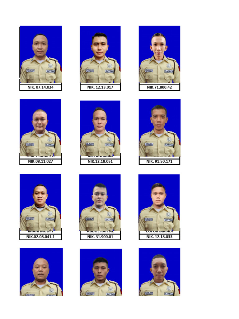 Foto Anggota Tim dan NIK | PDF