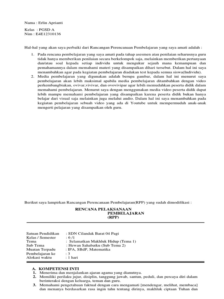 Modifikasi RPP-Ruang Kolaborasi-PPDP-Erlin Aprianti | PDF | Kesehatan Holistik