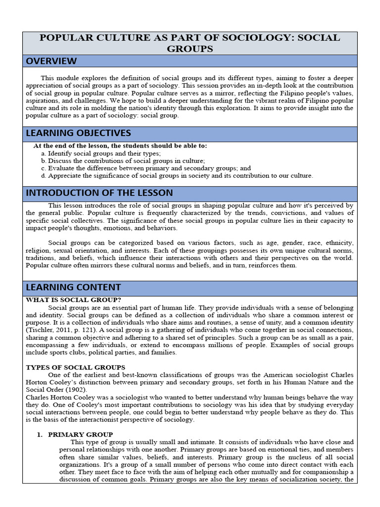 Social Groups | PDF | Social Group | Sociology