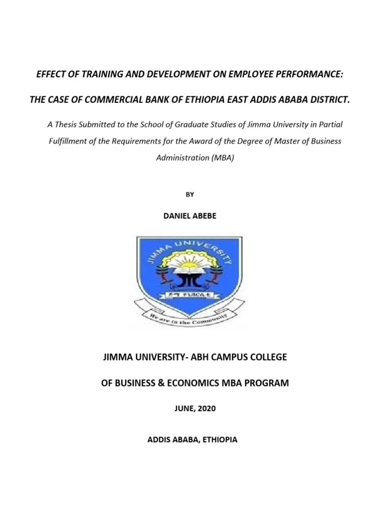 Daniel Abebe | PDF | Constructivism (Philosophy Of Education) | Learning