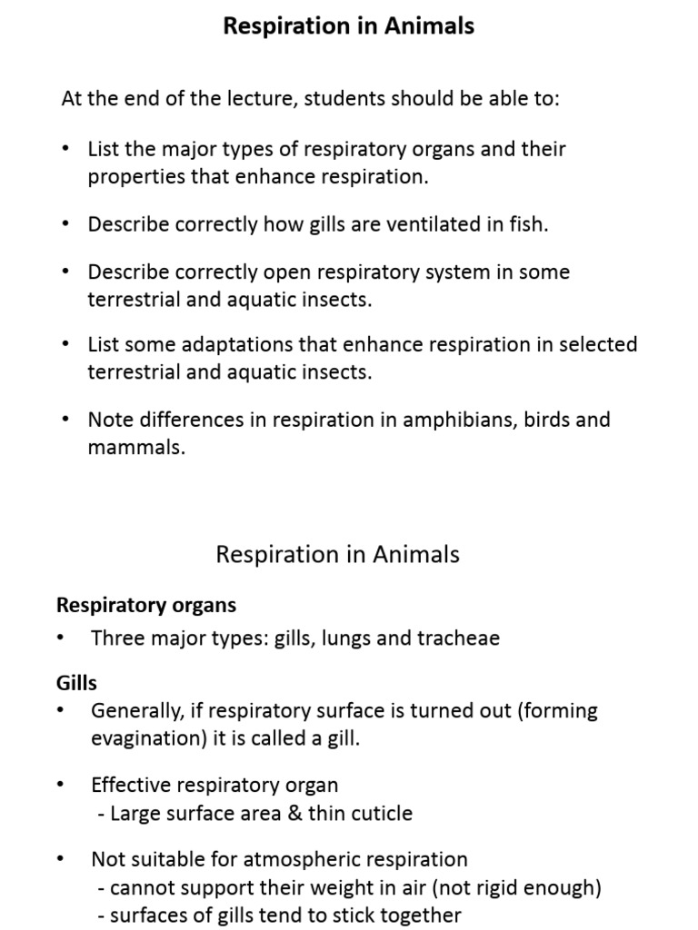 Respiration in Animals | PDF | Respiratory System | Gill