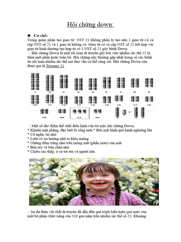 H I CH NG Down | PDF