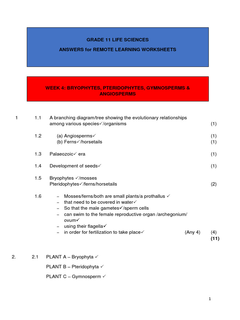 06 ANSWERS Remote Learning Worksheets Week 4 | PDF | Moss | Plants