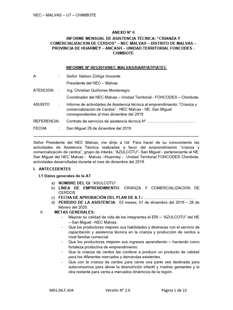 Primer Informe Cerdos Haku Wiñay | PDF | Carne | Comida y bebida