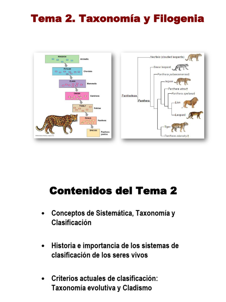 T2 Taxonomía y Filogenia | PDF | Taxonomía (biología) | Filogenética