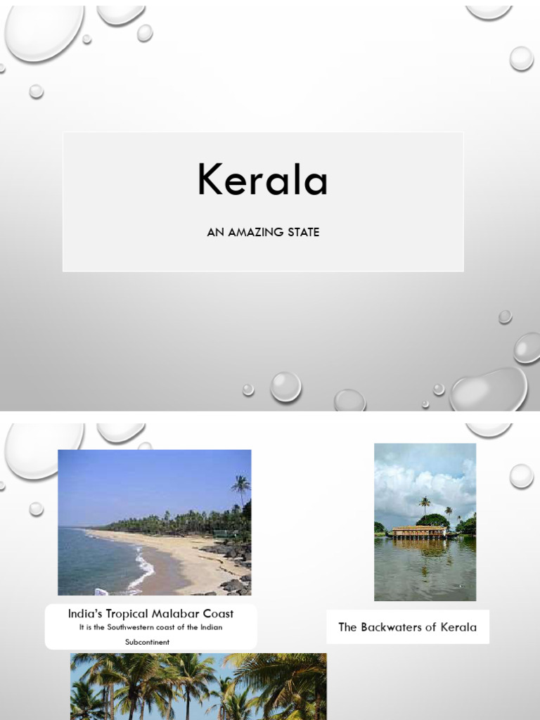 Kerals Project1 | PDF
