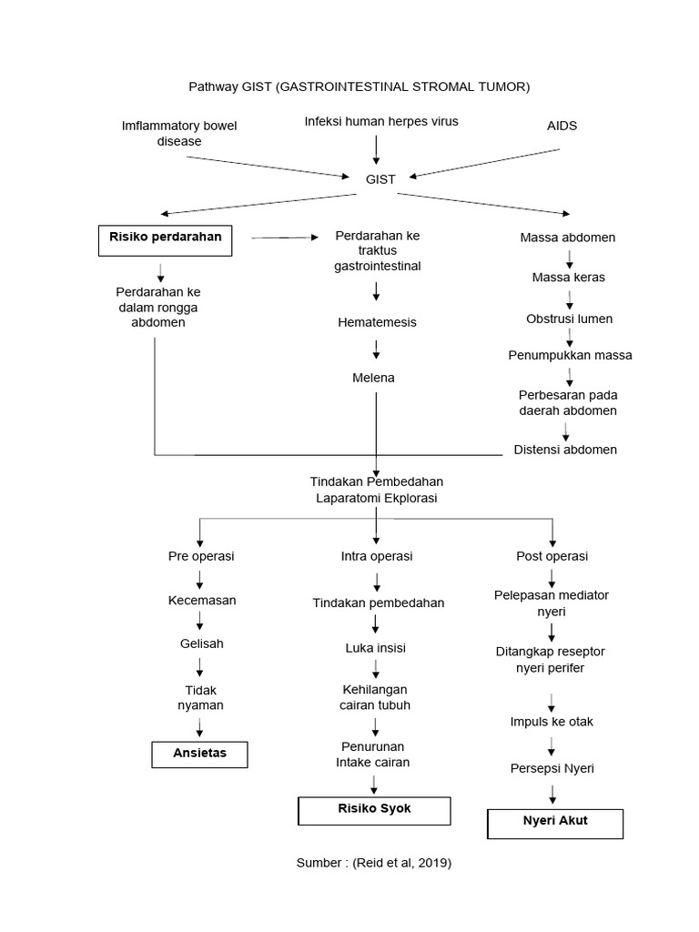 Pathway Gist Fixs Acc | PDF