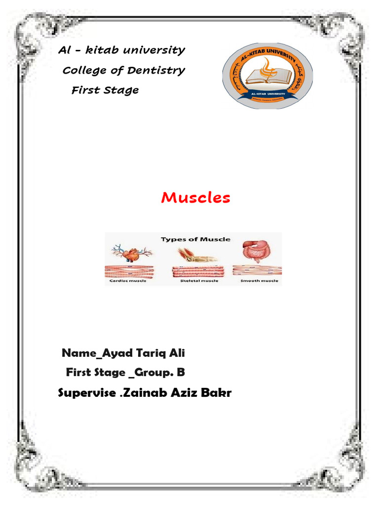 Muscles | PDF | Skeletal Muscle | Cardiac Muscle