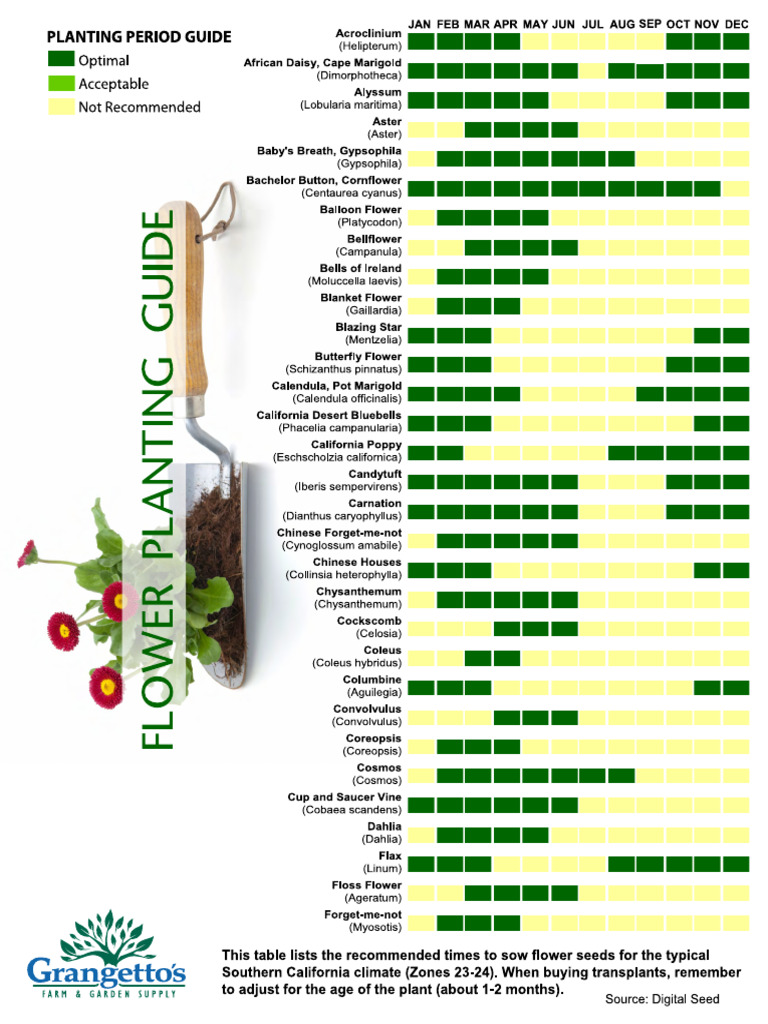 Flower Planting Guide | PDF