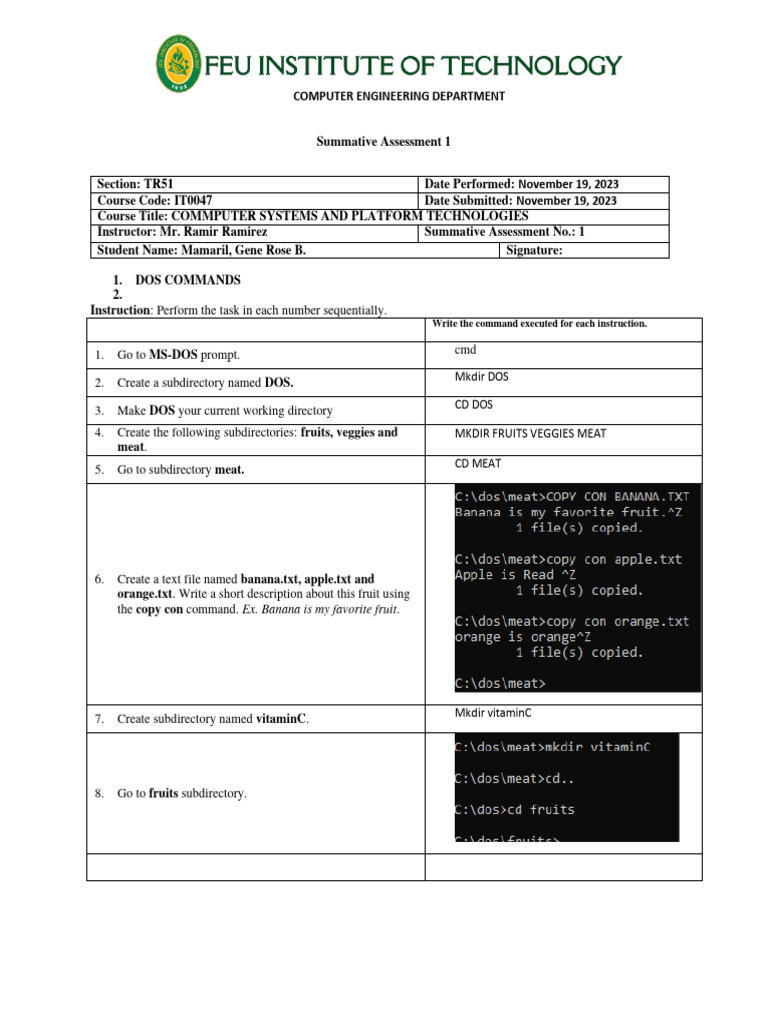It0047 Sa1 Dos Debug - Mamaril | PDF | Text File | Directory (Computing)