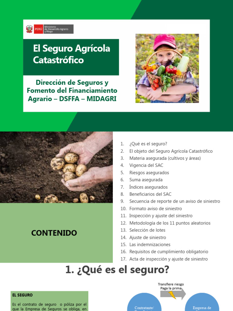 Contenido Capacitación SAC 2021-22 y 2022-23 - v1 (ICA) | PDF | Seguro ...