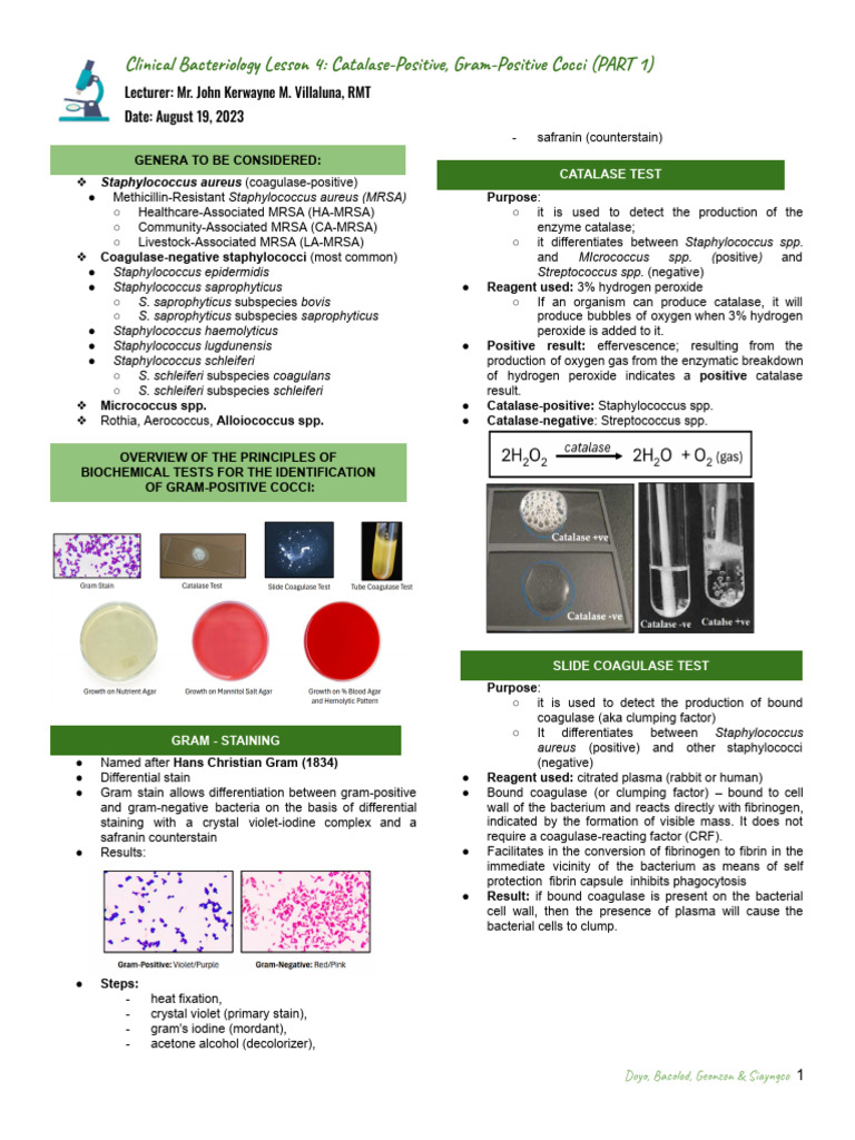 Bacteriolgy Catalase (+), Gram (+) Cocci Part 1 | PDF | Staphylococcus ...