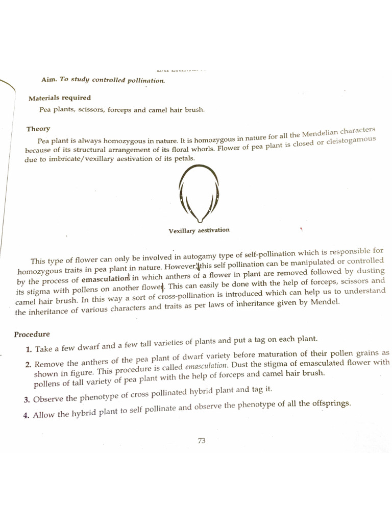 Controlled Pollination (Exp 7) | PDF